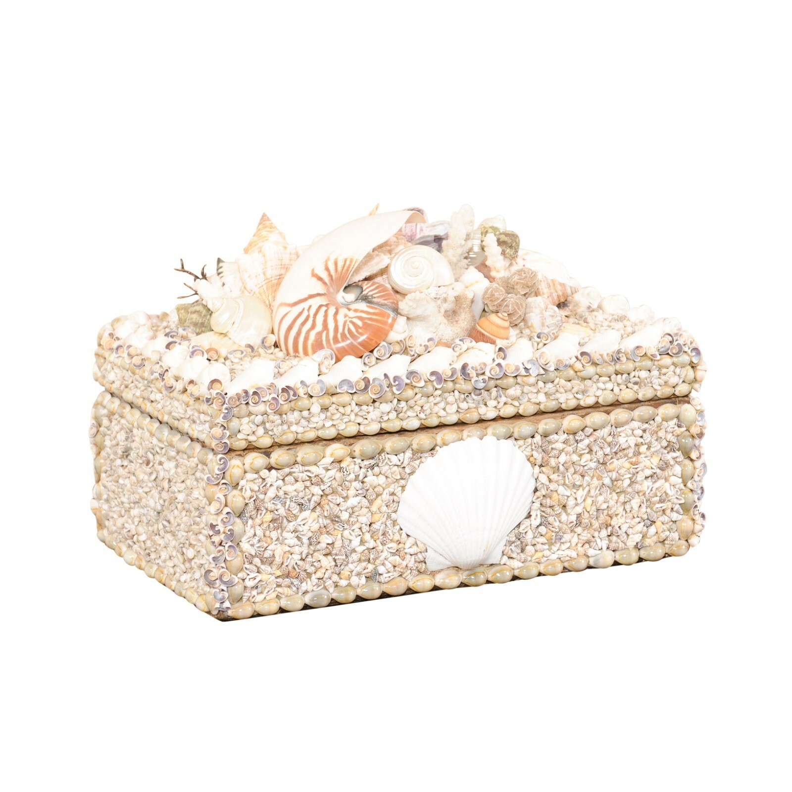 Sea Shell Box Artisan Crafted One-of-a-Kind | 2392 | A. Tyner Antiques